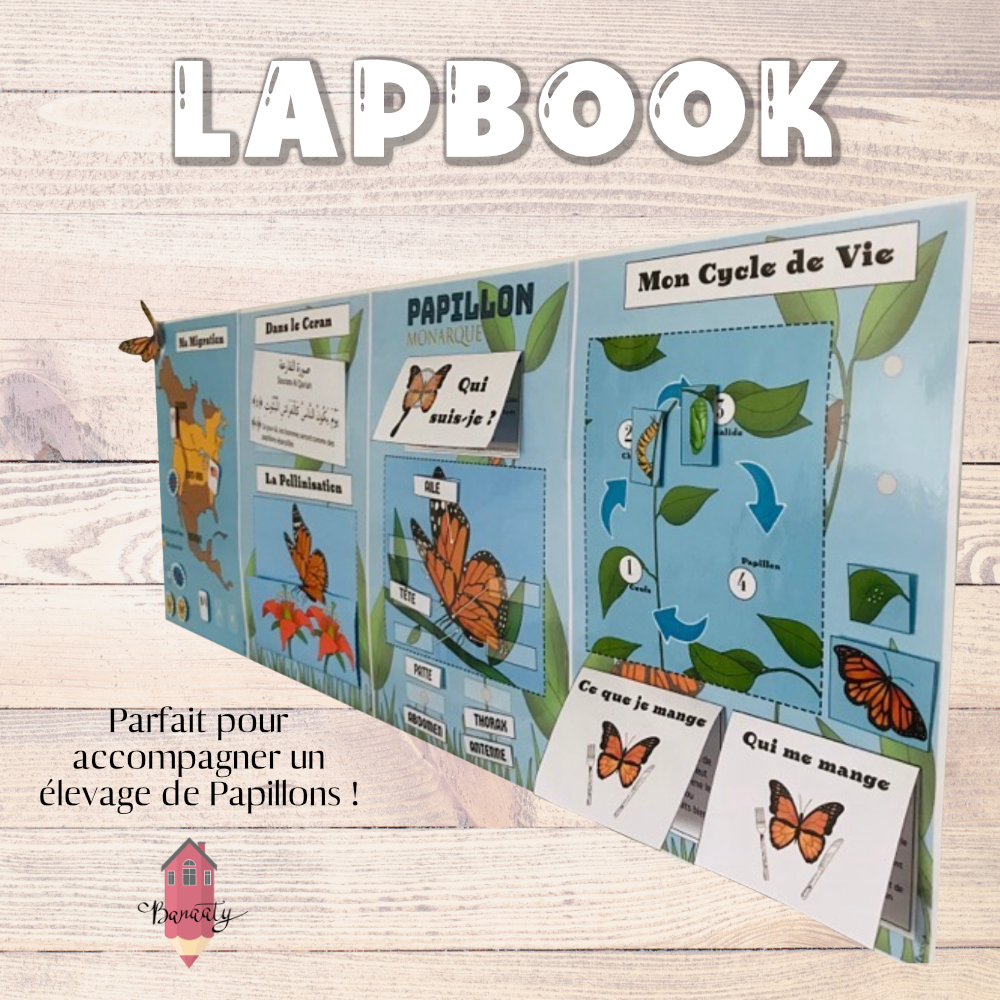 LAPBOOK complet du Papillon Monarque - Banaaty